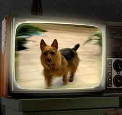 The Making of "The "Rudy Show"